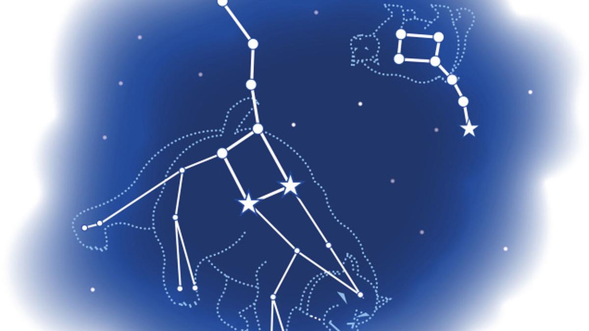 Story behind the Great bear and Little bear constellations in the night sky - The Hindu